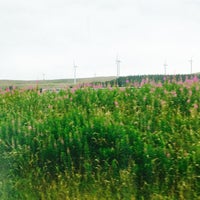 Scotland | Alba - Country in Cowgate