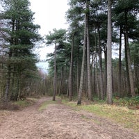 Ainsdale Sand Dunes National Nature Reserve - Pinfold Lane