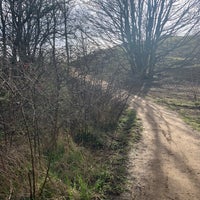 Ainsdale Sand Dunes National Nature Reserve - Pinfold Lane
