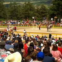 Colorado Renaissance Festival - 12 tips from 2551 visitors