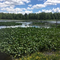 Sandy Ridge Reservation - Park