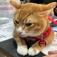 MATRADE Exhibition and Convention Centre (MECC) - 22 tips from 11470 ...