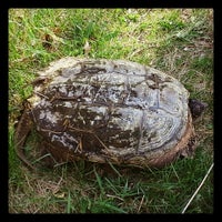 Volo Bog State Natural Area - Nature Preserve in Ingleside