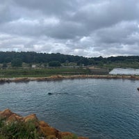 Yorkshire Wildlife Park - Zoo in Doncaster