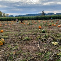 Schilter Family Farm - 141 Nisqually Cut Off Rd SE
