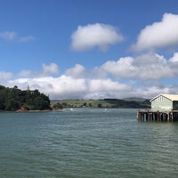 Mangonui Fish Shop - 8 tips from 316 visitors