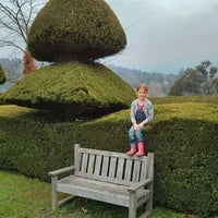 Hedgend Maze - 5 tips from 148 visitors