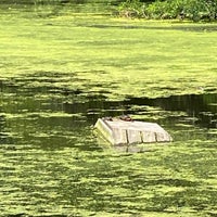 Heckrodt Nature Preserve - Menasha, WI