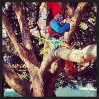 Clemson Outdoor Amphitheater - Clemson, SC