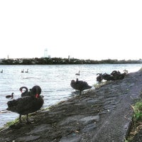 Lake Pupuke - Takapuna - Lake Pupuke