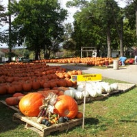 Patterson Fruit Farm - 11414 Caves Rd