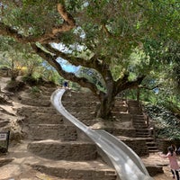 Codornices Park - Berkeley Hills - 17 tips from 1052 visitors