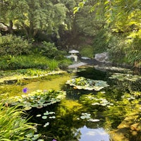UC Berkeley Botanical Gardens - Botanical Garden in Berkeley