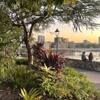 Kangaroo Point Cliffs & Riverwalk - 15 tips from 1200 visitors