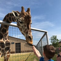 Boulder Ridge Wild Animal Park - Zoo