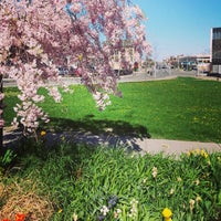 Buffalo & Erie County Public Library - Library in Central Business District