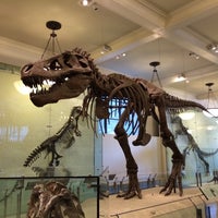 Tyrannosaurus Rex - Upper West Side - 200 Central Park W