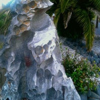 One Tree Point - Harbor / Marina