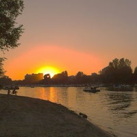 Ribarac - Restaurant in Novi Sad