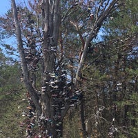 Shoe Tree On 131 - Kalkaska, MI