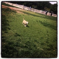 Meadows Foundation Dog Park - Dog Park in Dallas