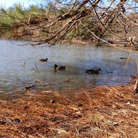 Kelly Cofer Park - 3 tips