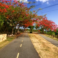 Paseo Lineal (Rio Bayamon) - Other Great Outdoors in Bayamon