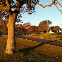One Tree Hill Domain - Park