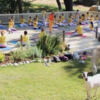 Sivananda Ashram Yoga Farm - Campground in Grass Valley