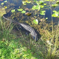 Everglades Alligator Farm - Homestead, FL