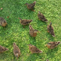 Sparrows Point - Neighborhood in Sparrows Point