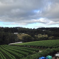 Paringa Estate Winery - 44 Paringa Rd