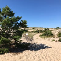 Ptown Sand Dunes - Beach