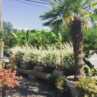 Nalls Produce - 11 tips from 327 visitors