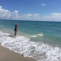 Juno Beach Dog Park - Dog Park in The Bluffs