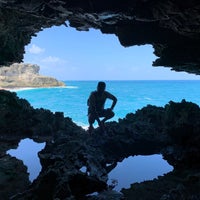 Animal Flower Cave - Cave