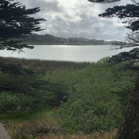 Lake Merced Run Loop - Lakeshore - 11 tips from 566 visitors