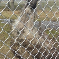 Scidmore Park & Petting Zoo - Park in Three Rivers