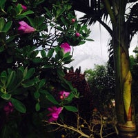 Refmad Farm, Dragon Fruits