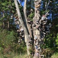 Shoe Tree On 131 - Kalkaska, MI