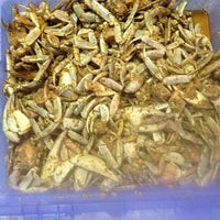 Urbanización Chanis - Ciudad de Panamá, Panamá