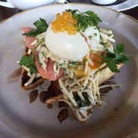 Wolf in the Fog - 21 tips from 447 visitors