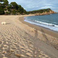 Cala Sa Conca - Beach