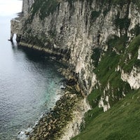 Bempton Cliffs - Bempton, East Yorkshire