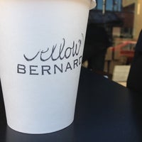 Yellow Bernard - Coffee Shop