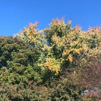 Prospect Bay Country Club - Golf Course in Grasonville