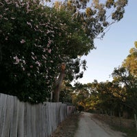 Star Swamp Bushland Reserve - 22 visitors