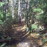 Discovery Park Loop Trail - Trail in Seattle