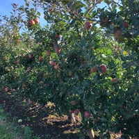 Milk Pail Farms - Watermill, NY
