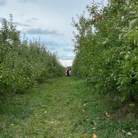 Masker Orchards - 37 tips from 2338 visitors